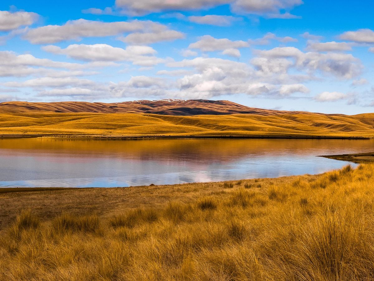 Lake Onslow: Remote Drives in Beautiful Central Otago | Blog - New ...