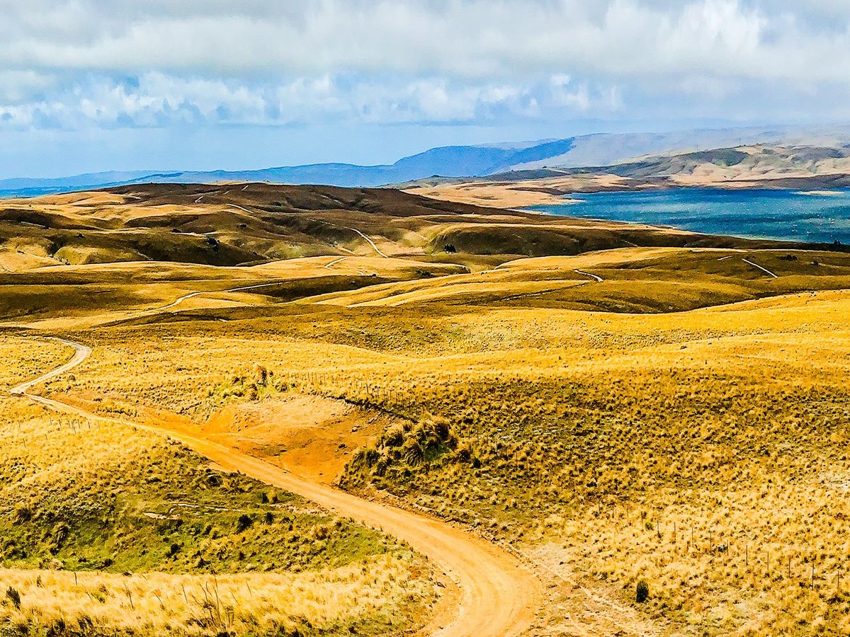 Old Dunstan Road | Central Otago - New Zealand Trip Ideas