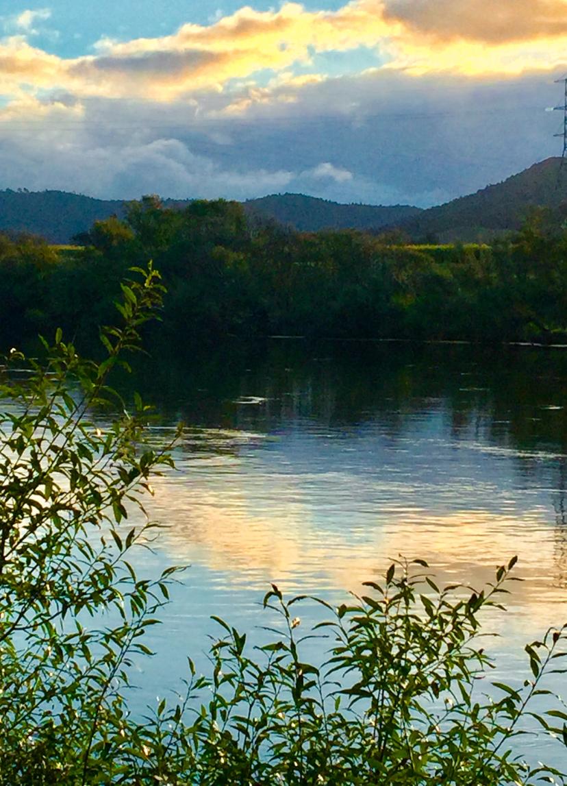 Taupiri | North Waikato - New Zealand Trip Ideas