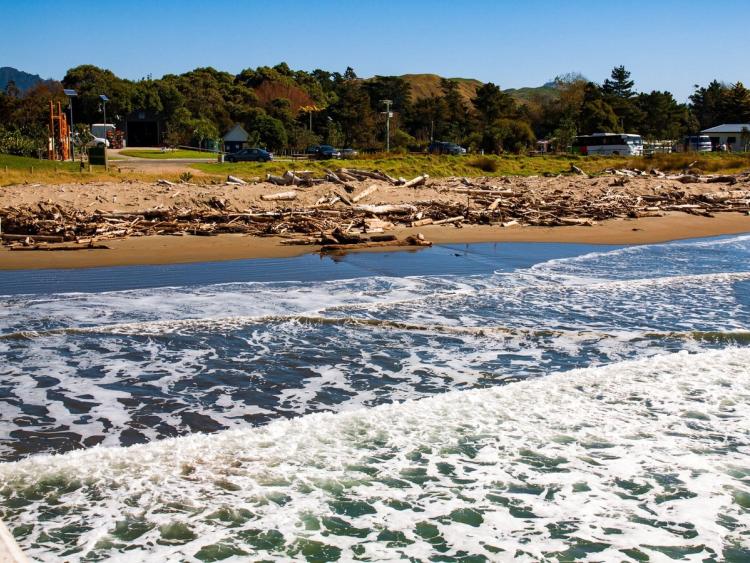 Tolaga Bay - Trip Ideas