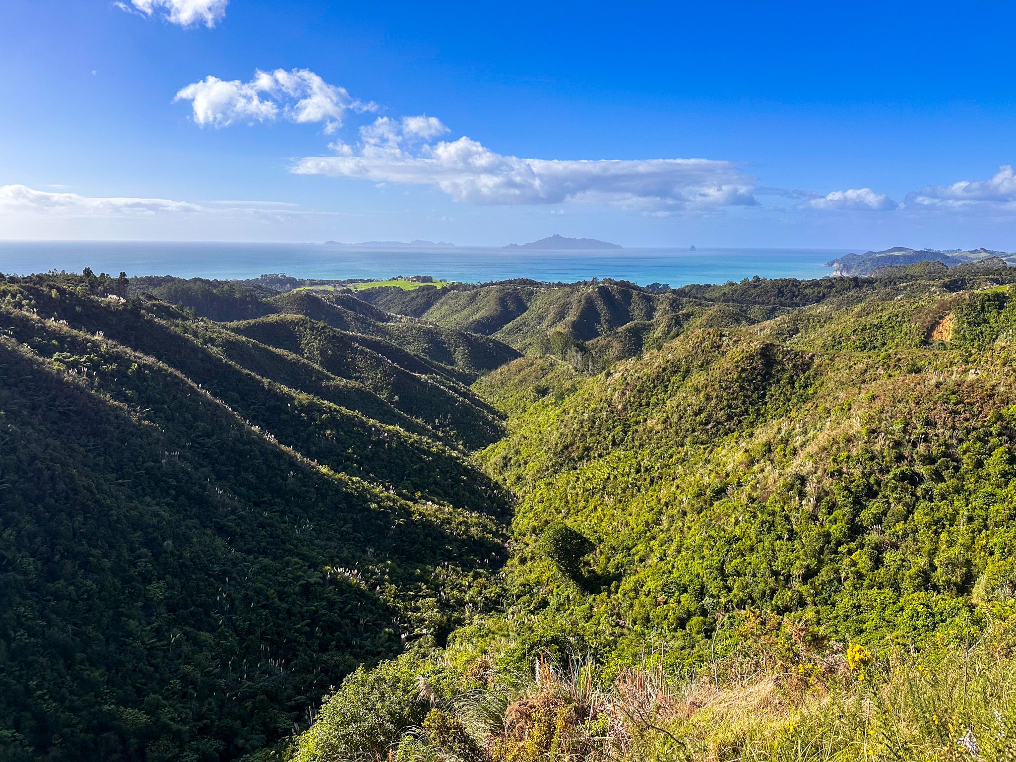 Cullen Road | Tutukaka Coast and Whangārei - New Zealand Trip Ideas
