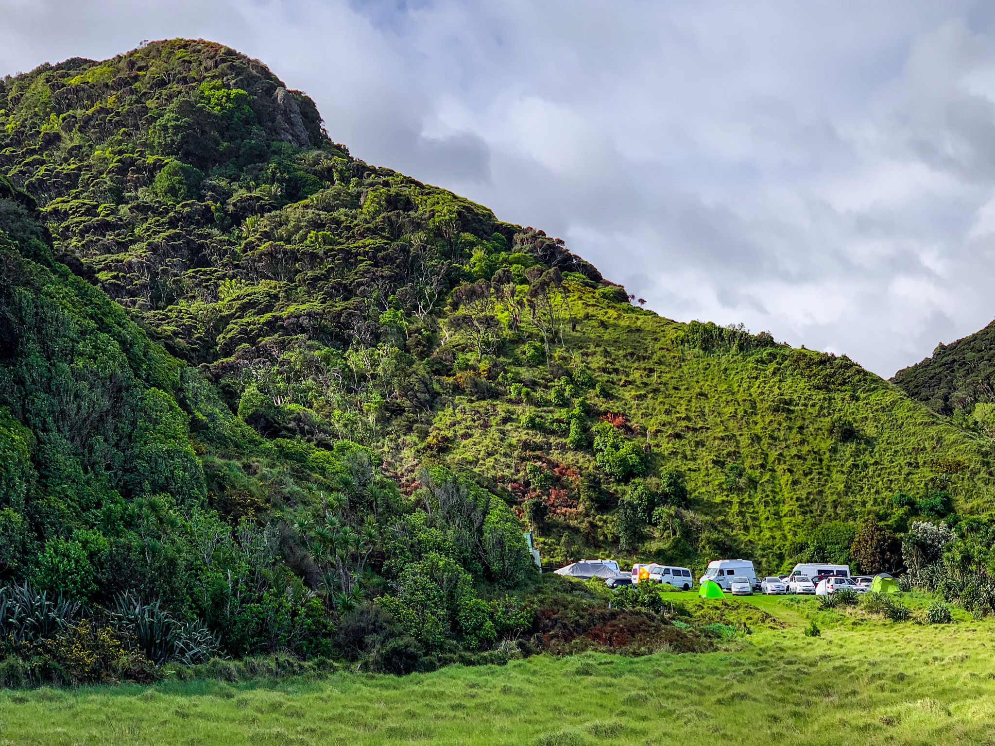 Whatipū | West Auckland - New Zealand Trip Ideas