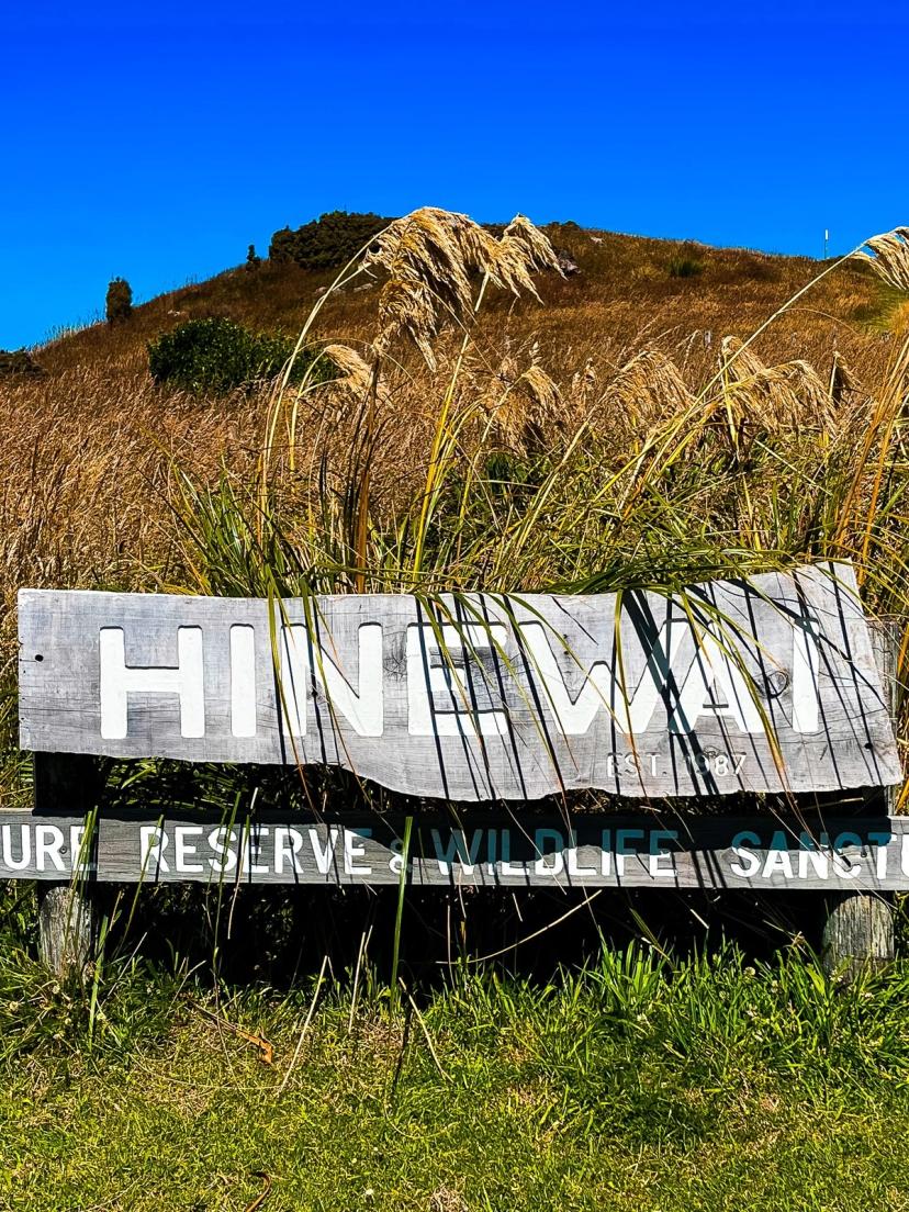 Hinewai Reserve | North Canterbury - New Zealand Trip Ideas