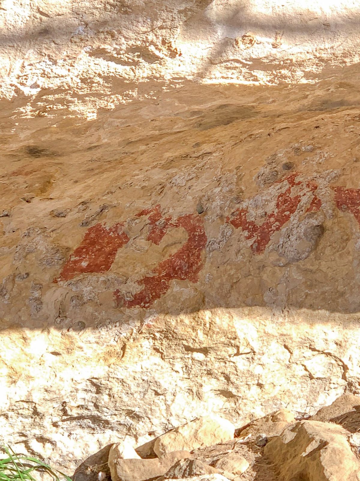 Waitaki Whitestone: NZ’s Most Beautiful Rock Formations - Trip Ideas