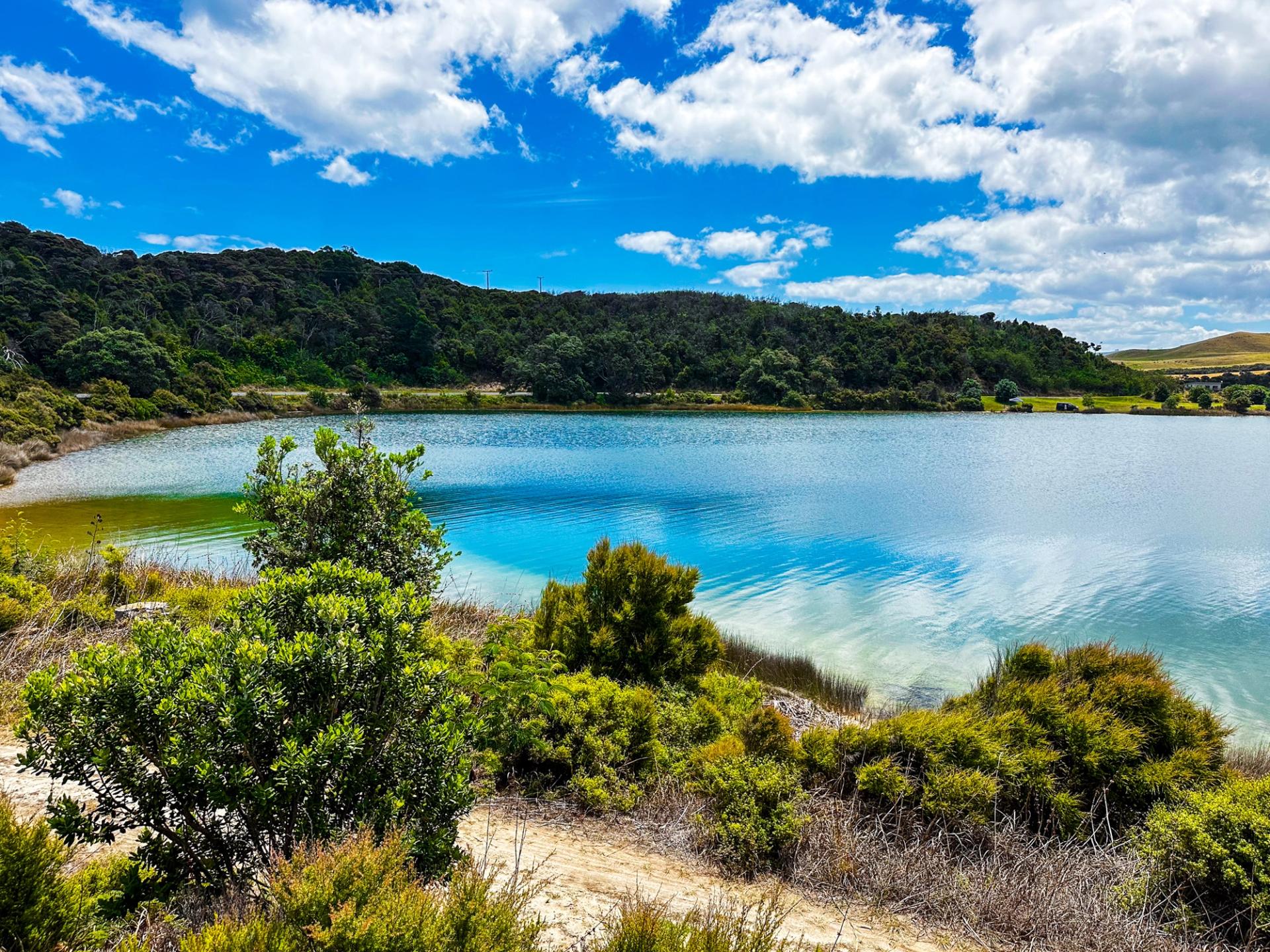 Kai Iwi Lakes | Kauri Coast - New Zealand Trip Ideas