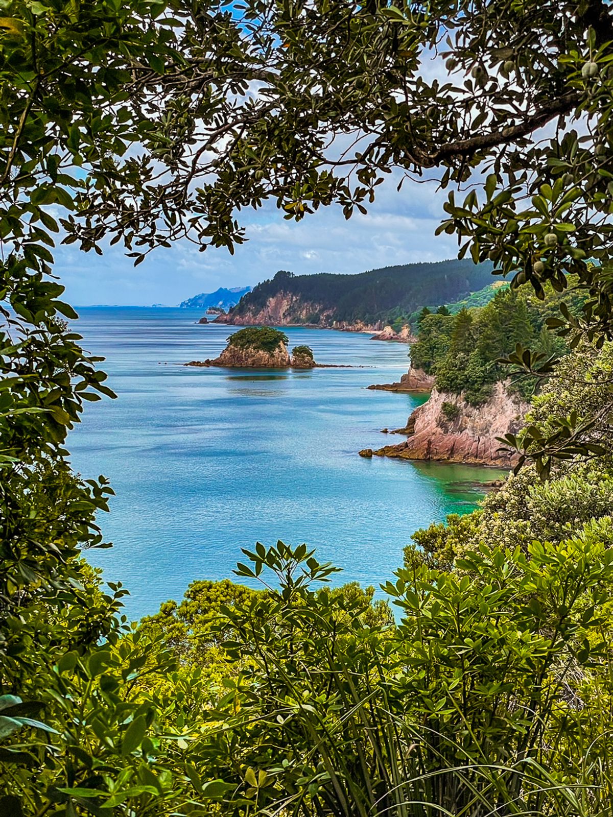 Coromandel Peninsula | Coromandel - New Zealand Trip Ideas