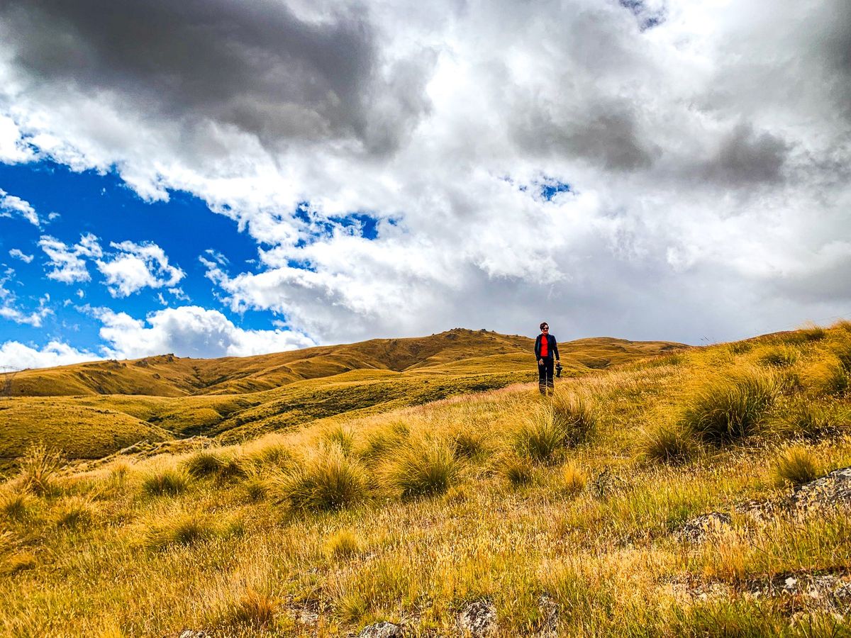 Danseys Pass Road | Central Otago - New Zealand Trip Ideas