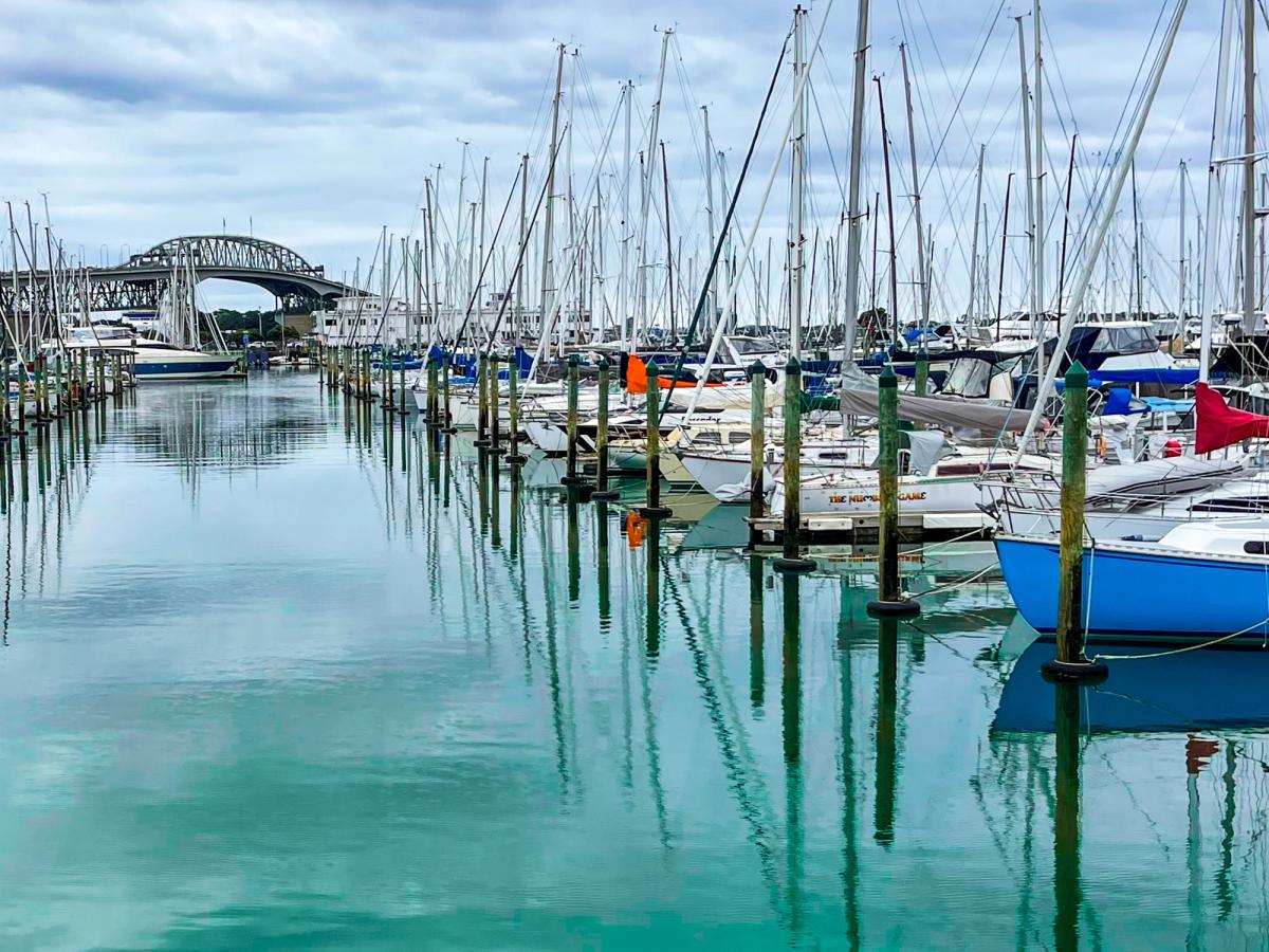 Auckland City | Central Auckland - New Zealand Trip Ideas