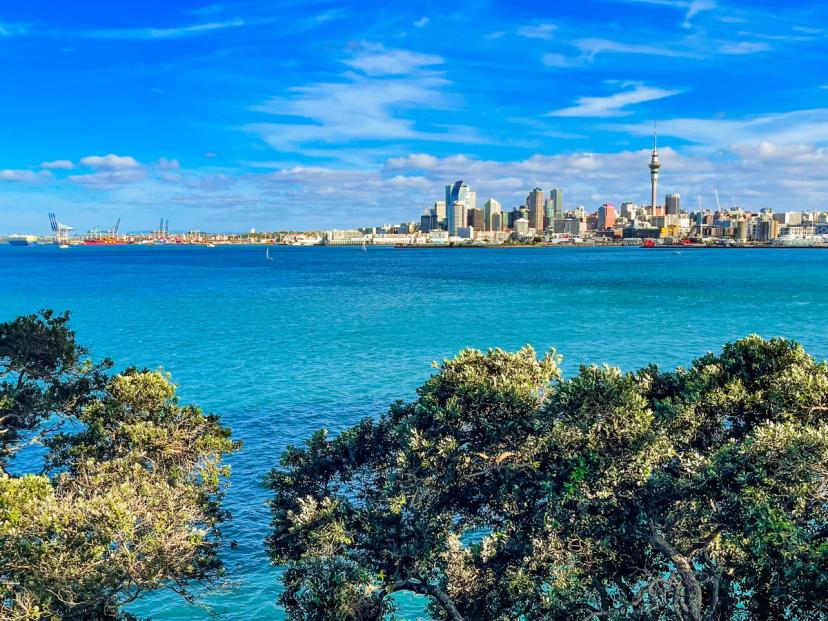 The Gems of the North Shore's Waitematā Coast | Blog - New Zealand Trip ...