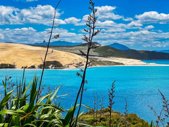 Hokianga Harbour | Hokianga - New Zealand Trip Ideas