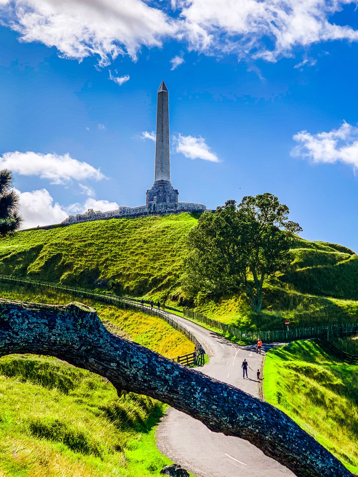 Cornwall Park Maungakiekie | Central Auckland - New Zealand Trip Ideas