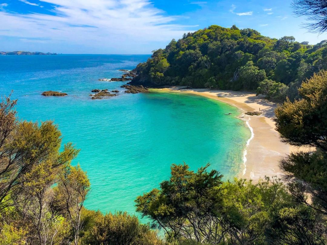 Whale Bay | Tutukaka Coast and Whangārei - New Zealand Trip Ideas