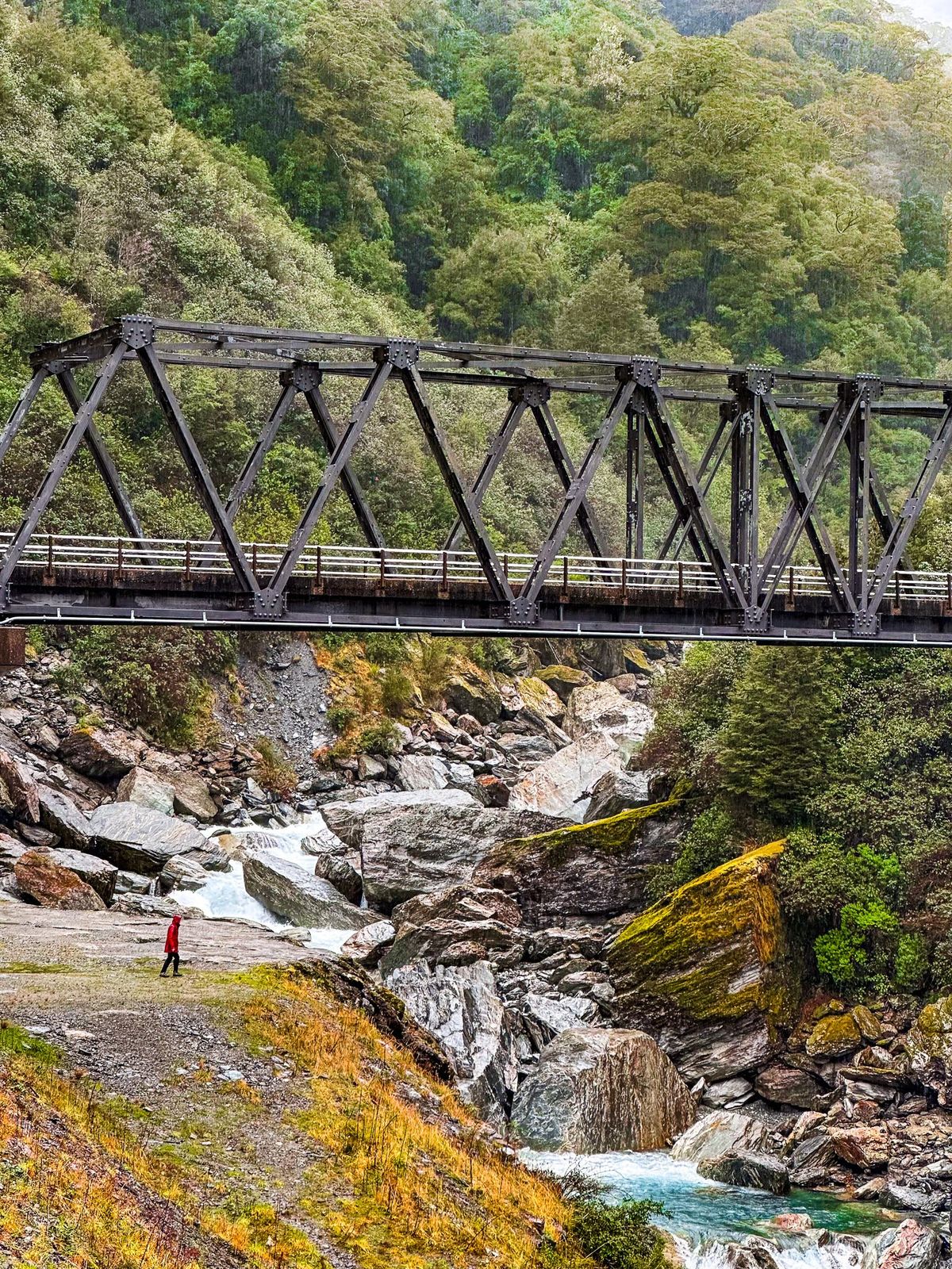 The Best of Beautiful Haast Pass - Trip Ideas