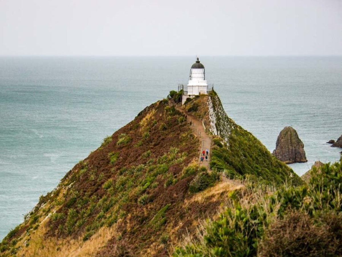 Nugget Point | Catlins - New Zealand Trip Ideas