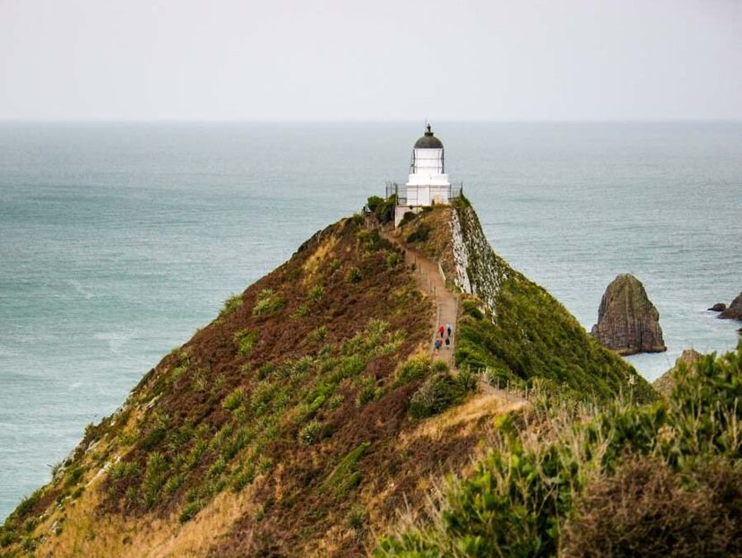 Nugget Point | Catlins - New Zealand Trip Ideas