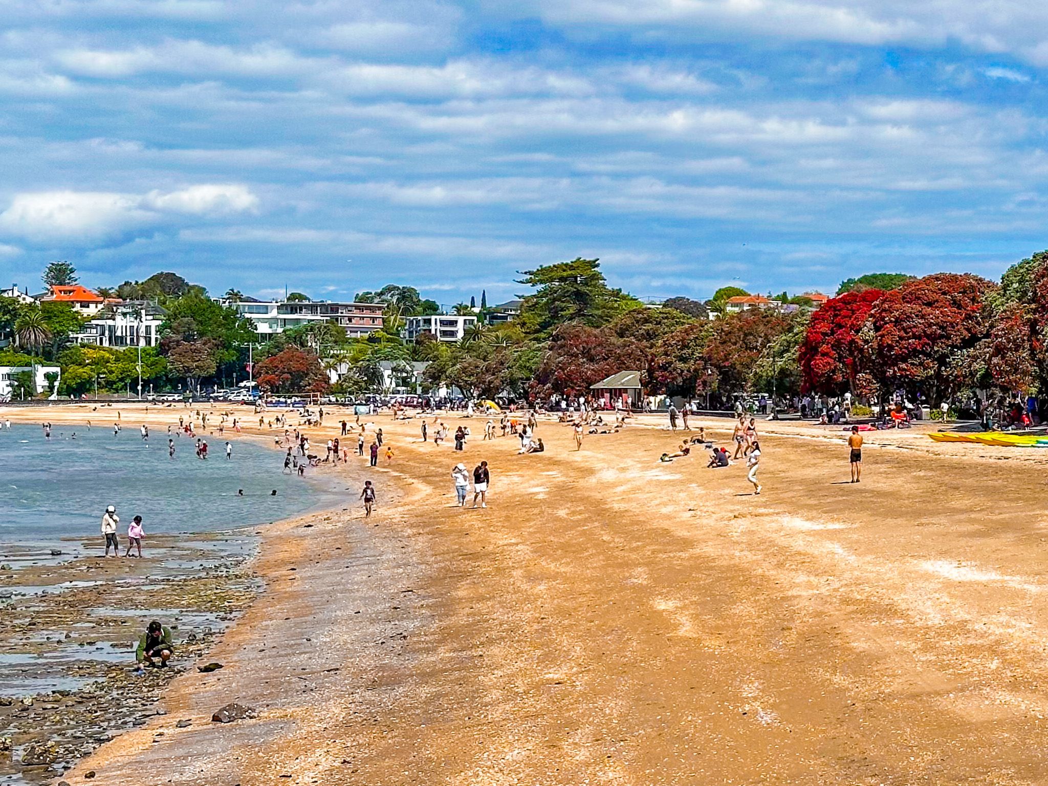 Mission Bay | Central Auckland - New Zealand Trip Ideas