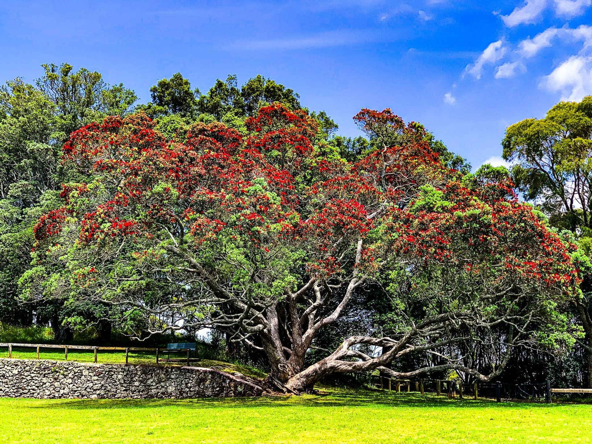 Mount Albert Ōwairaka | Central Auckland - New Zealand Trip Ideas