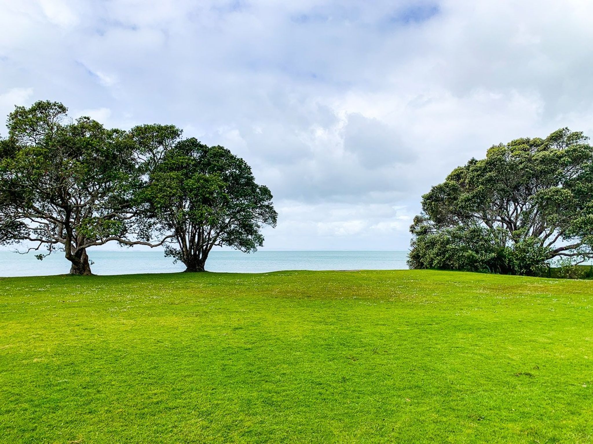 Cornwallis Beach | West Auckland - New Zealand Trip Ideas