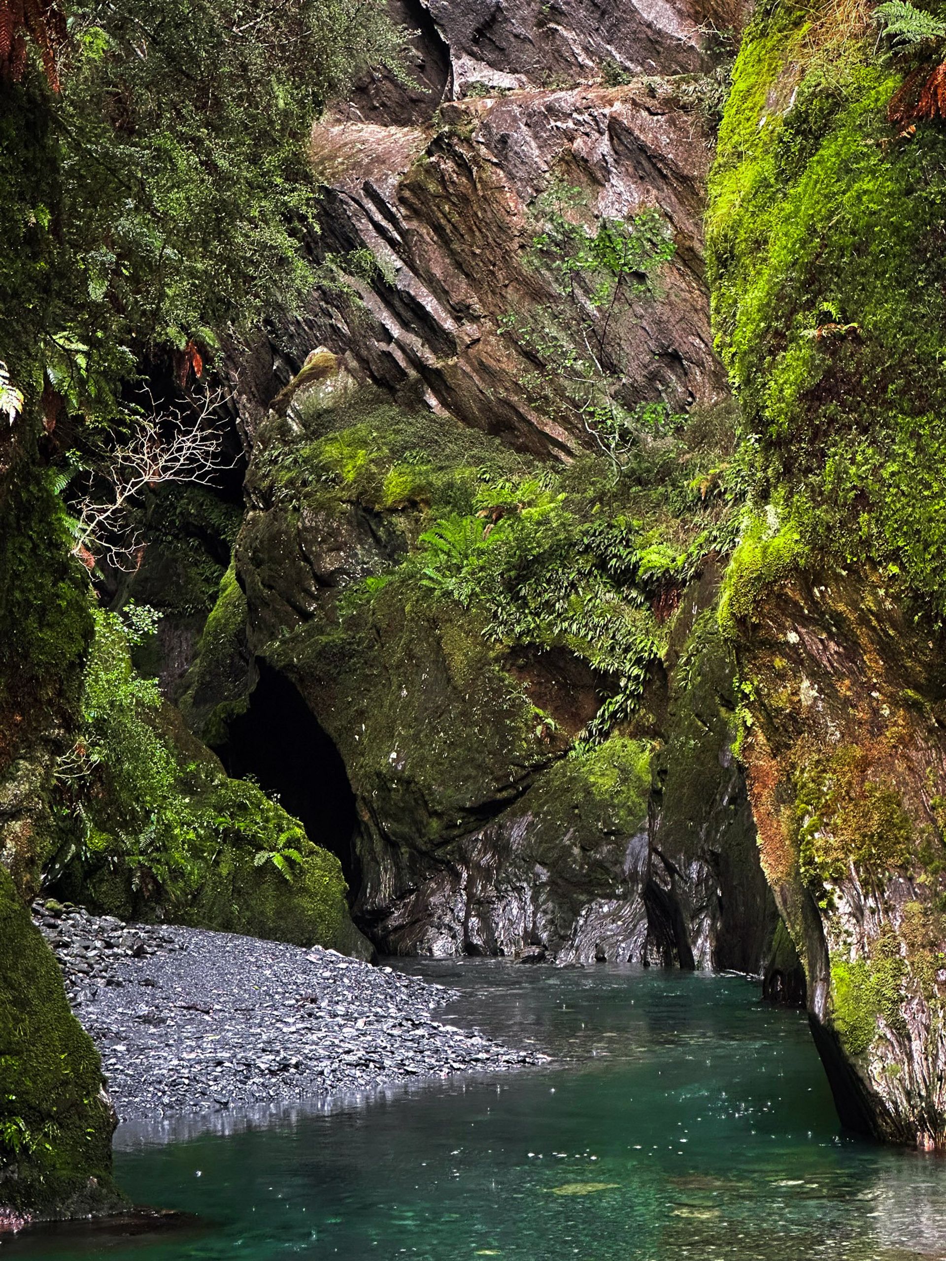 The Best of Beautiful Haast Pass - Trip Ideas