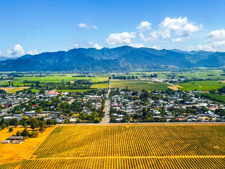 Blenheim | Marlborough - New Zealand Trip Ideas