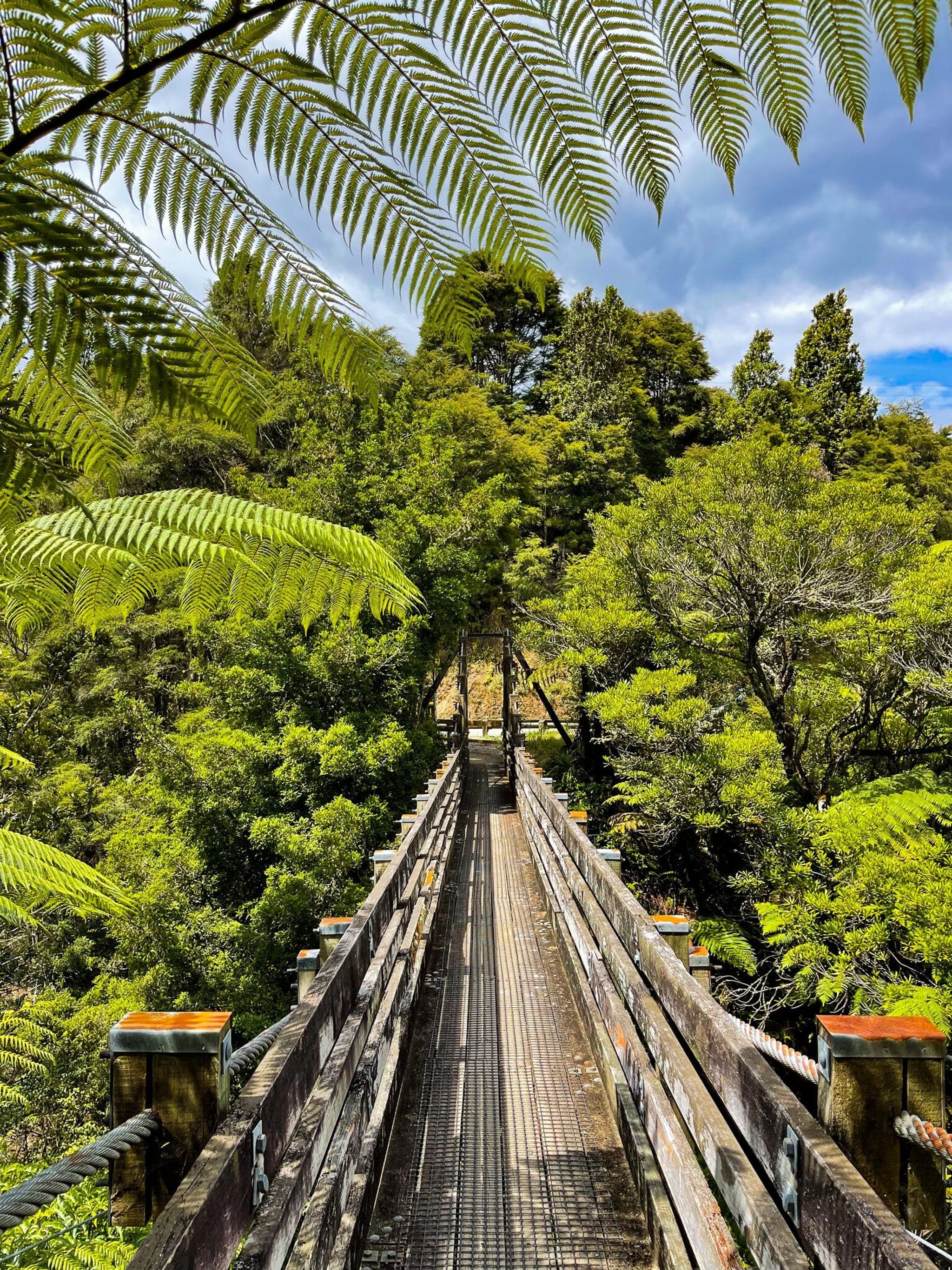 Hunua Ranges | South Auckland - New Zealand Trip Ideas