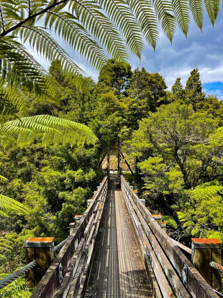 Hunua Ranges | South Auckland - New Zealand Trip Ideas