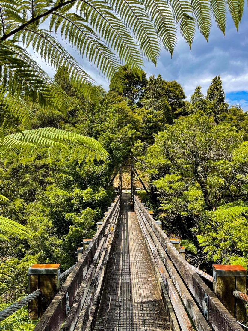Hunua Ranges | South Auckland - New Zealand Trip Ideas