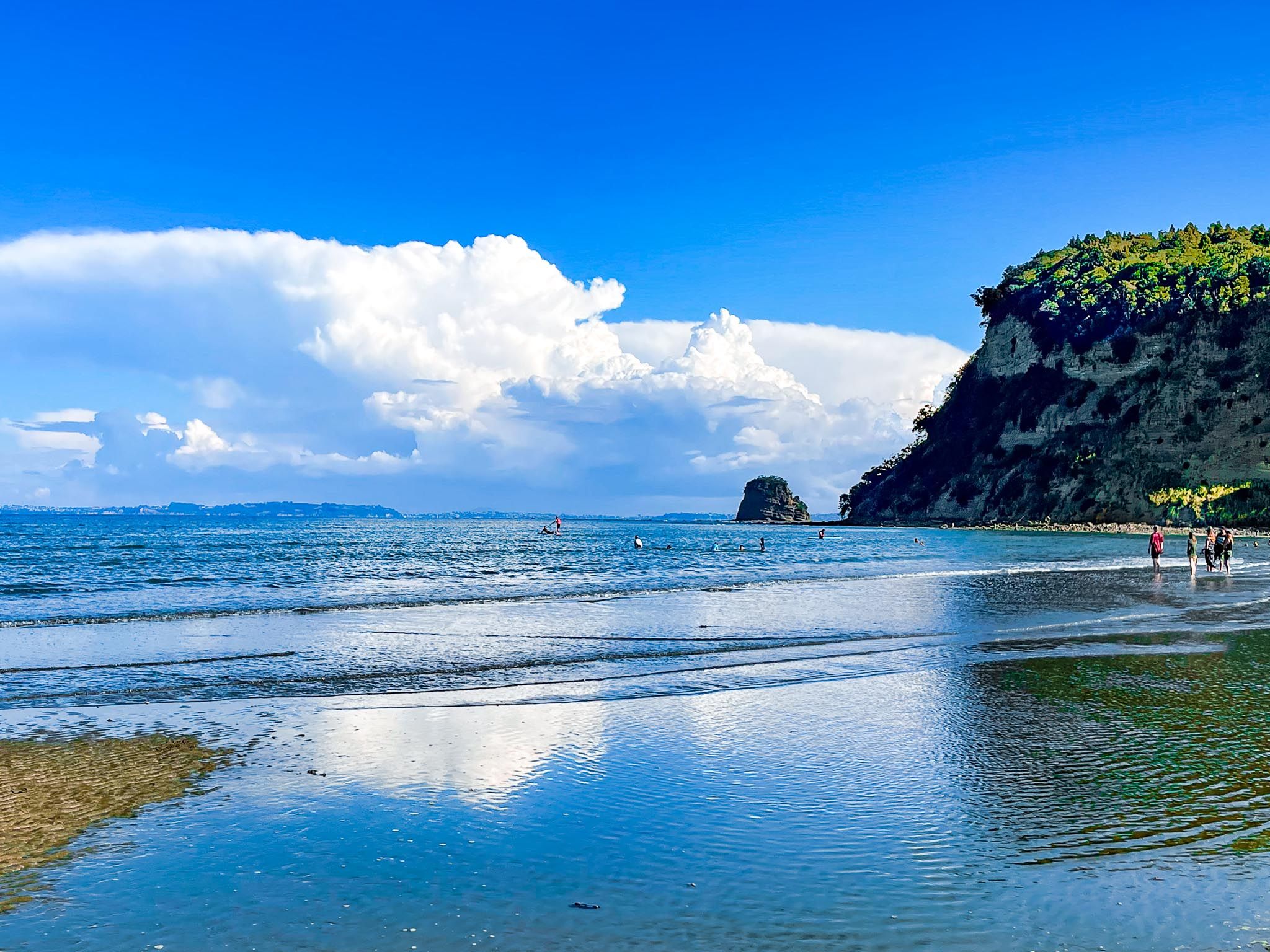 Hibiscus Coast | North Auckland - New Zealand Trip Ideas
