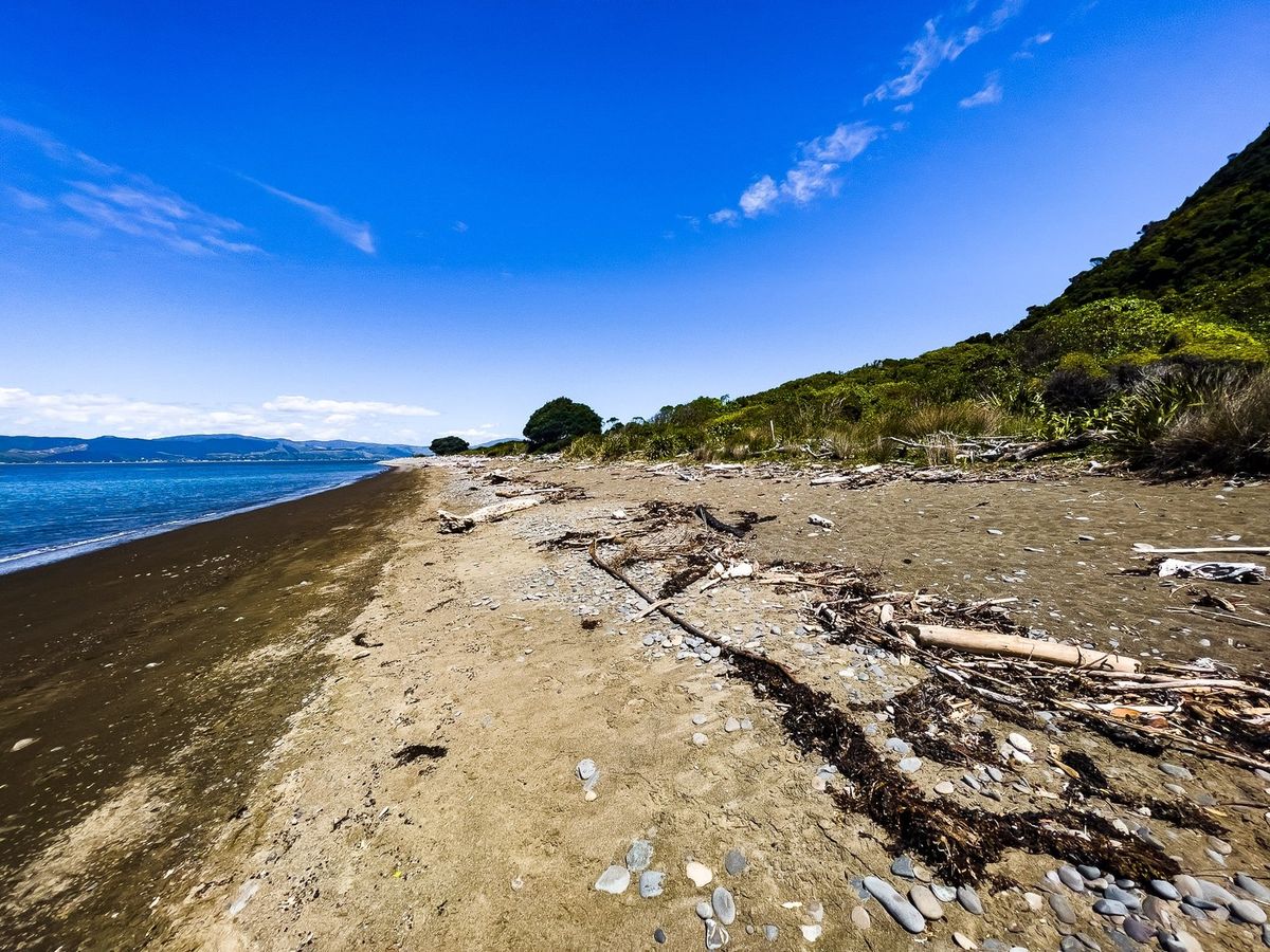 Exploring the Beautiful Kāpiti Island - Trip Ideas