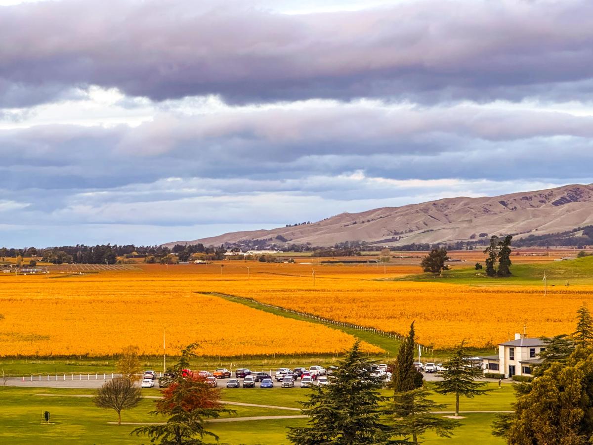 Wairau Valley | Marlborough - New Zealand Trip Ideas