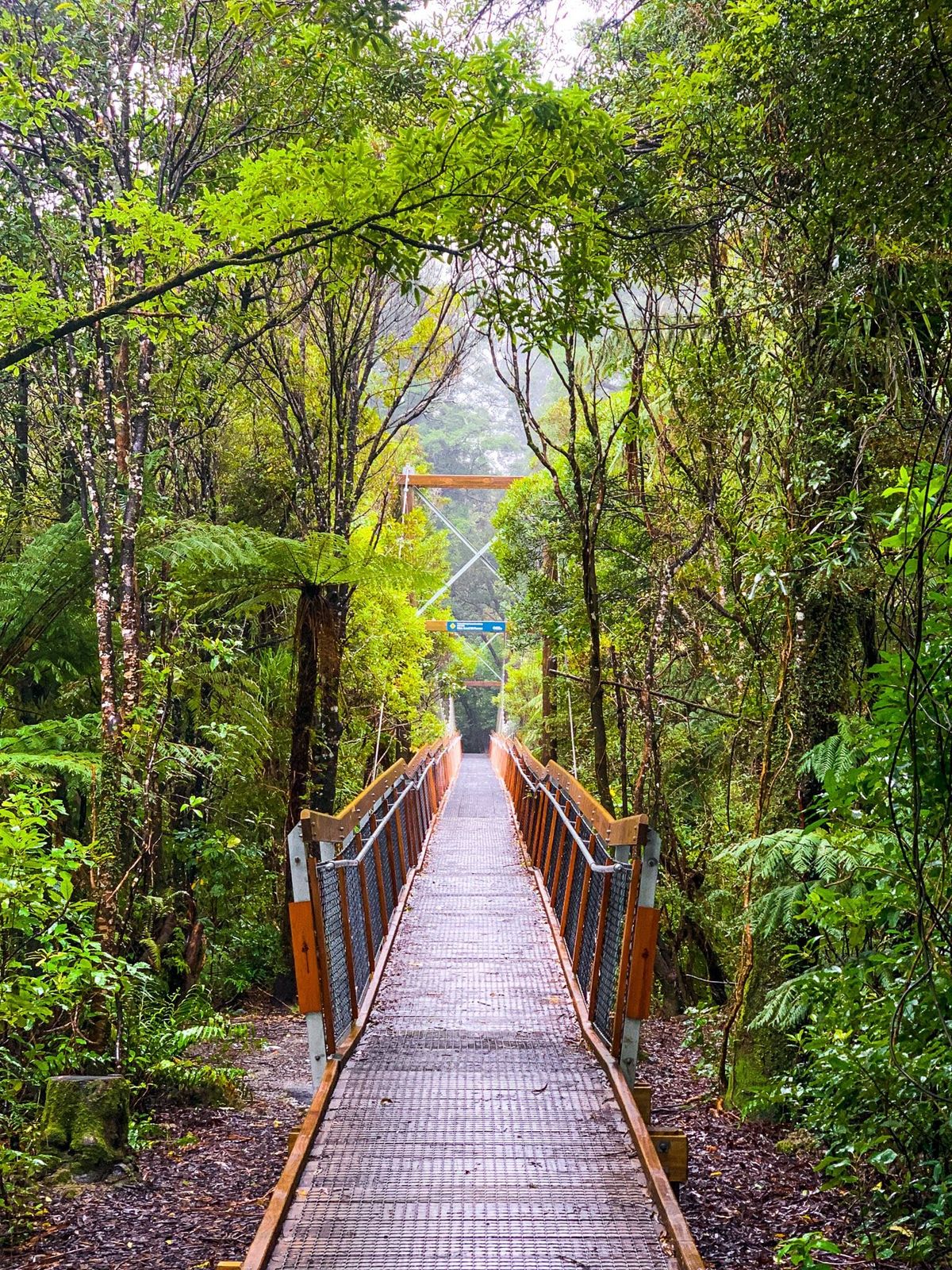 Kaitoke Regional Park | Hutt Valley - New Zealand Trip Ideas