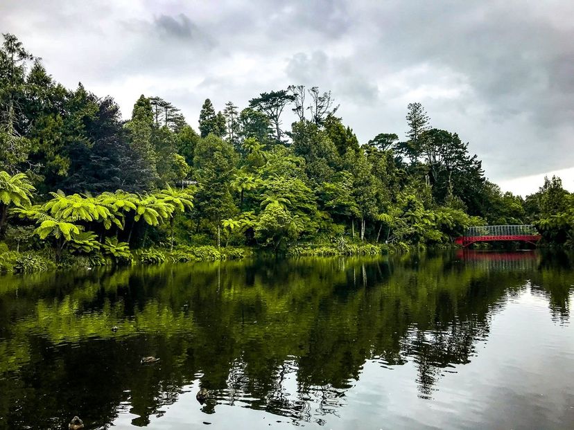 Pukekura Park | New Plymouth - New Zealand Trip Ideas