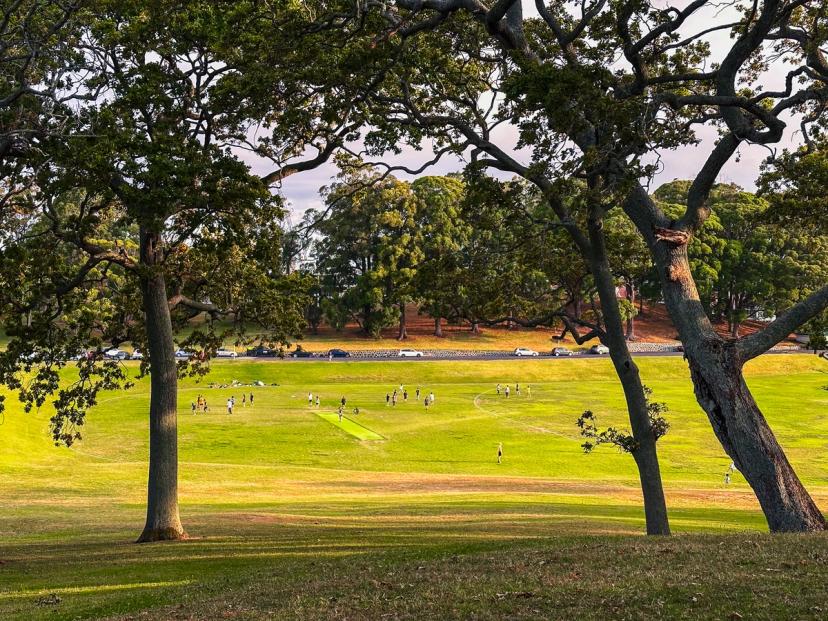 Auckland Domain Pukekawa | Central Auckland - New Zealand Trip Ideas