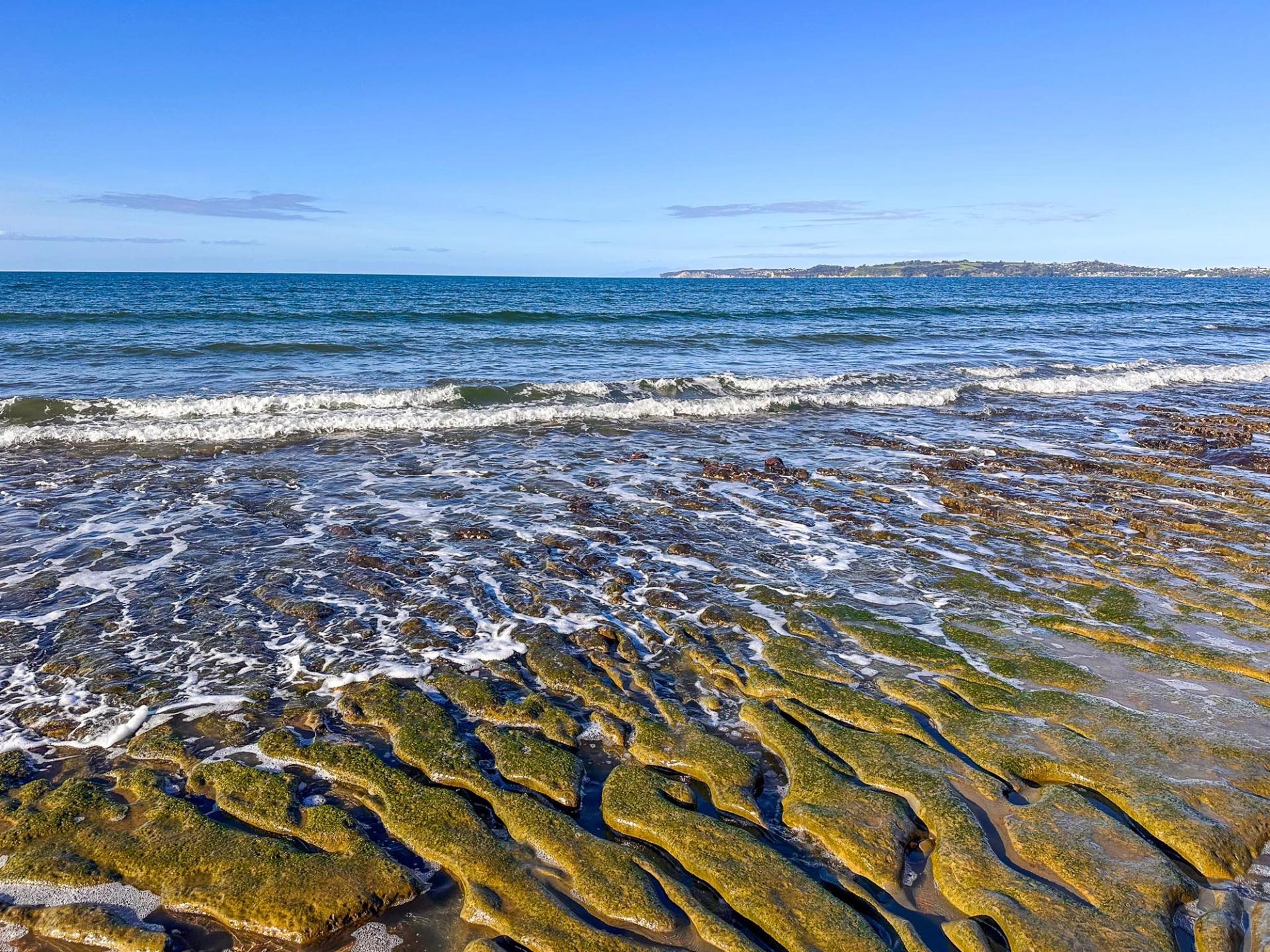 Red Beach | North Auckland - New Zealand Trip Ideas