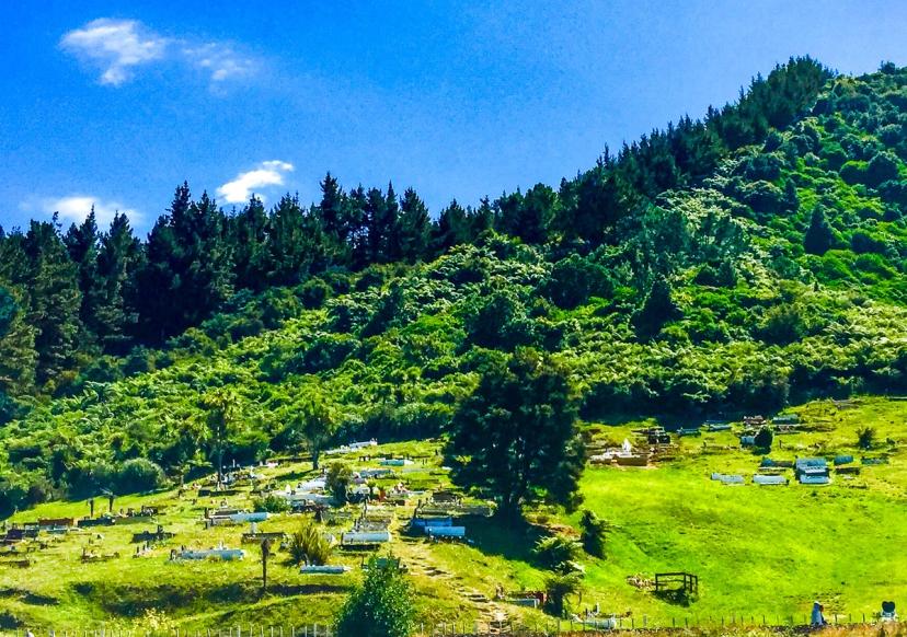 Taupiri | North Waikato - New Zealand Trip Ideas