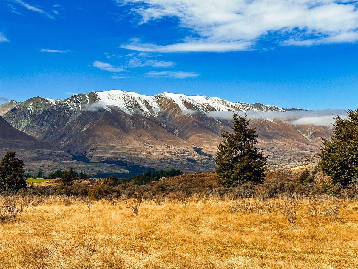 Temple Campsite and Tracks | Mackenzie Country - New Zealand Trip Ideas