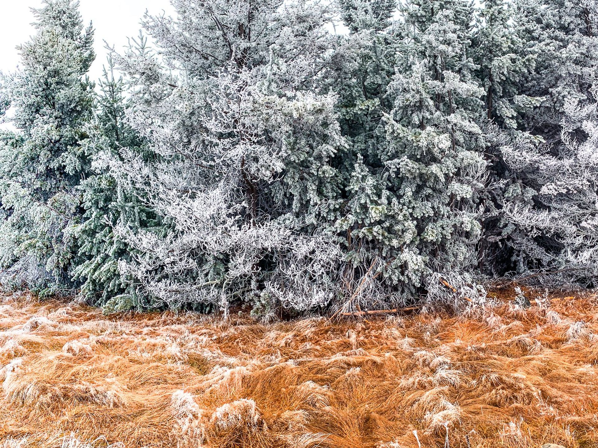 Mackenzie Country: Remote Drives in Beautiful Canterbury | Blog - New ...