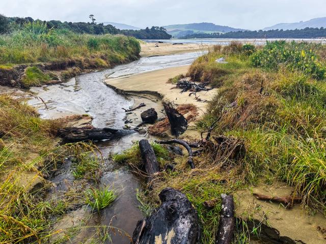 Papatowai | Catlins - New Zealand Trip Ideas