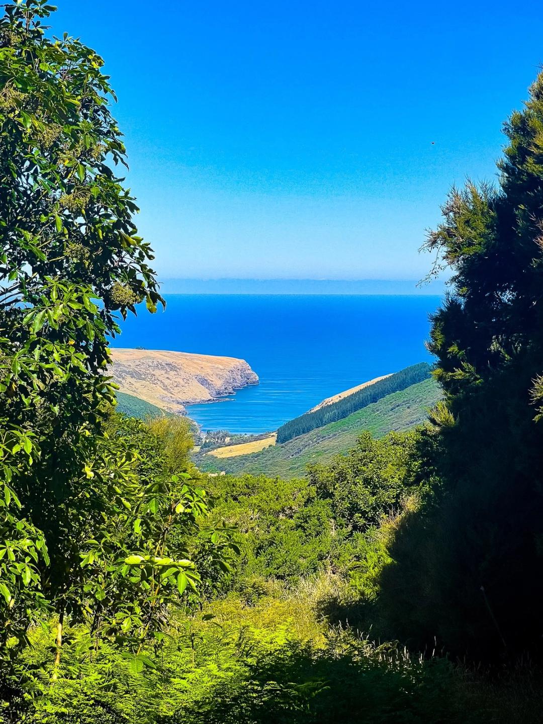 Hinewai Reserve Walks | Banks Peninsula - New Zealand Trip Ideas