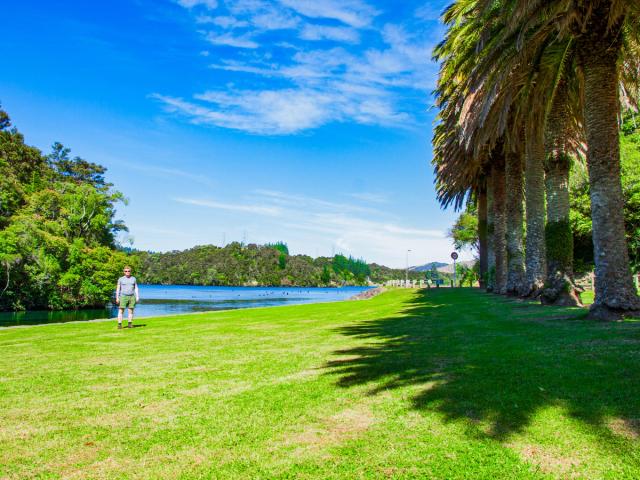 Te Urewera | Te Urawera - New Zealand Trip Ideas