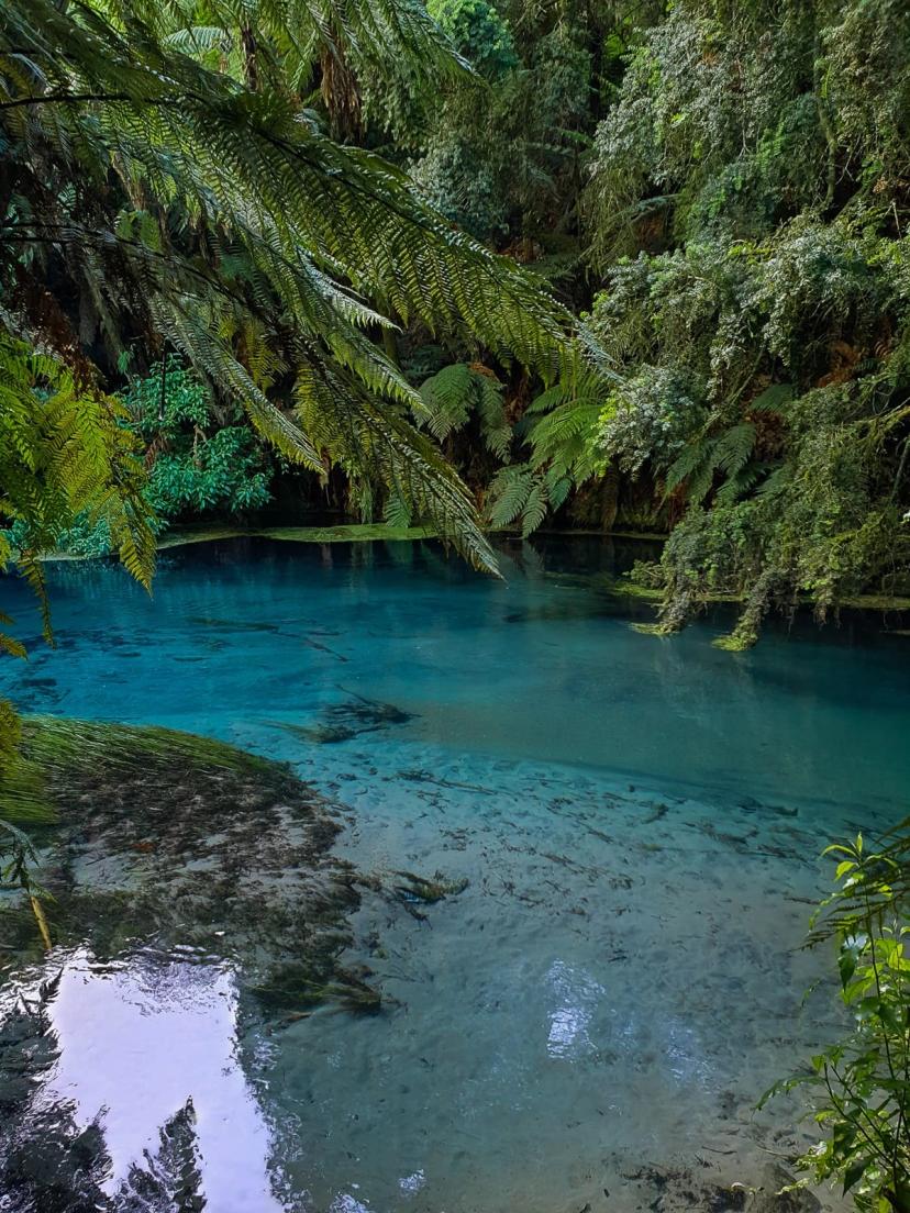 Te Waihou Blue Springs | Hamilton - New Zealand Trip Ideas