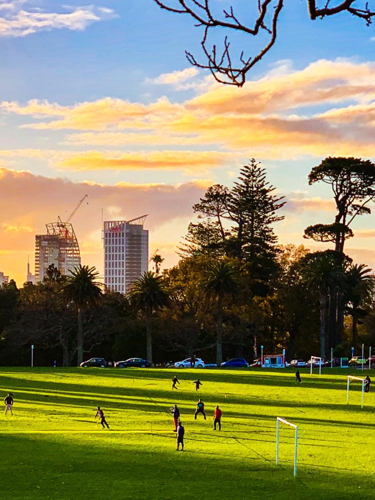 Auckland Domain Pukekawa | Central Auckland - New Zealand Trip Ideas