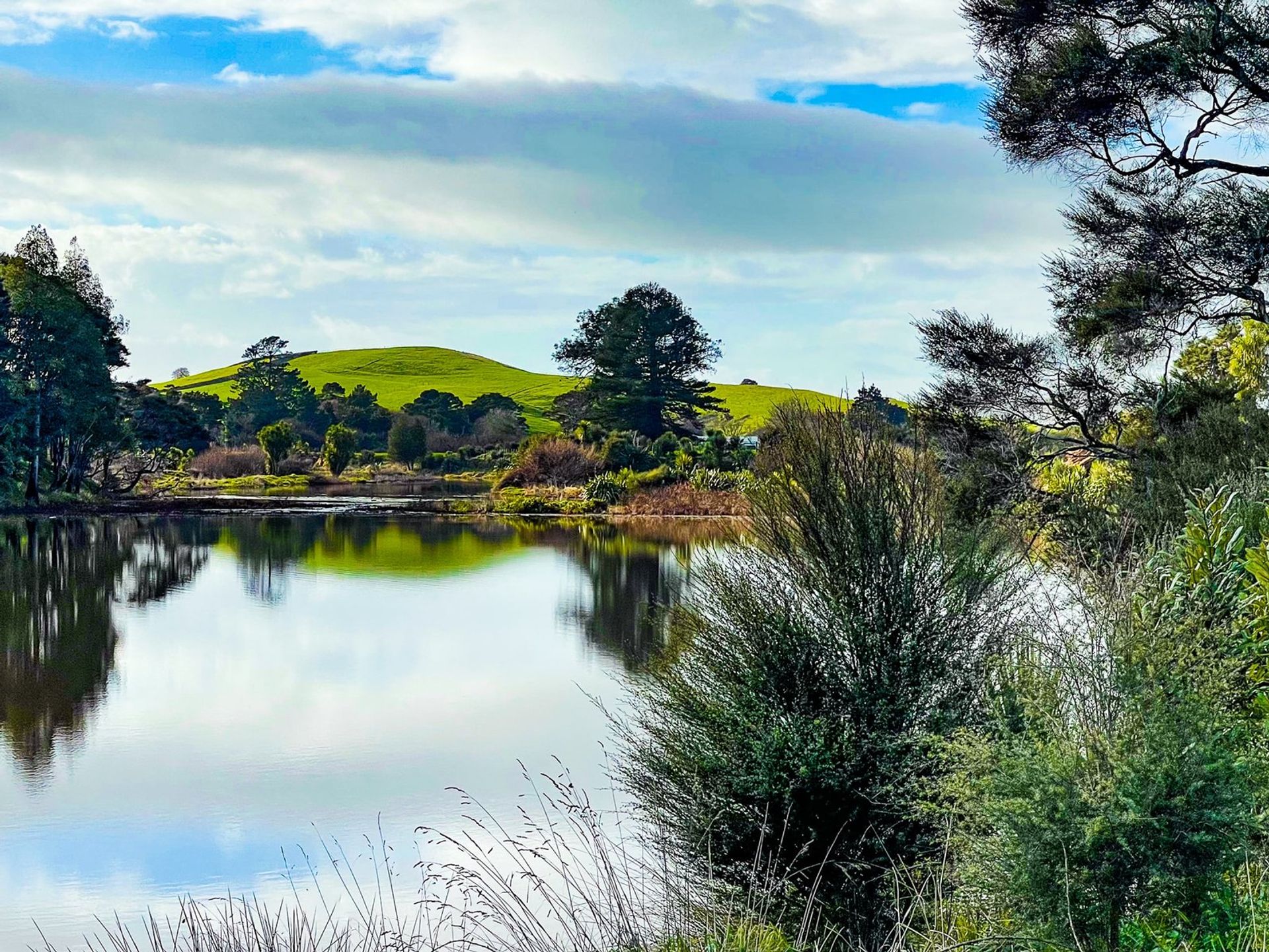 Taupiri Pass Scientific Reserve | Hauraki - New Zealand Trip Ideas