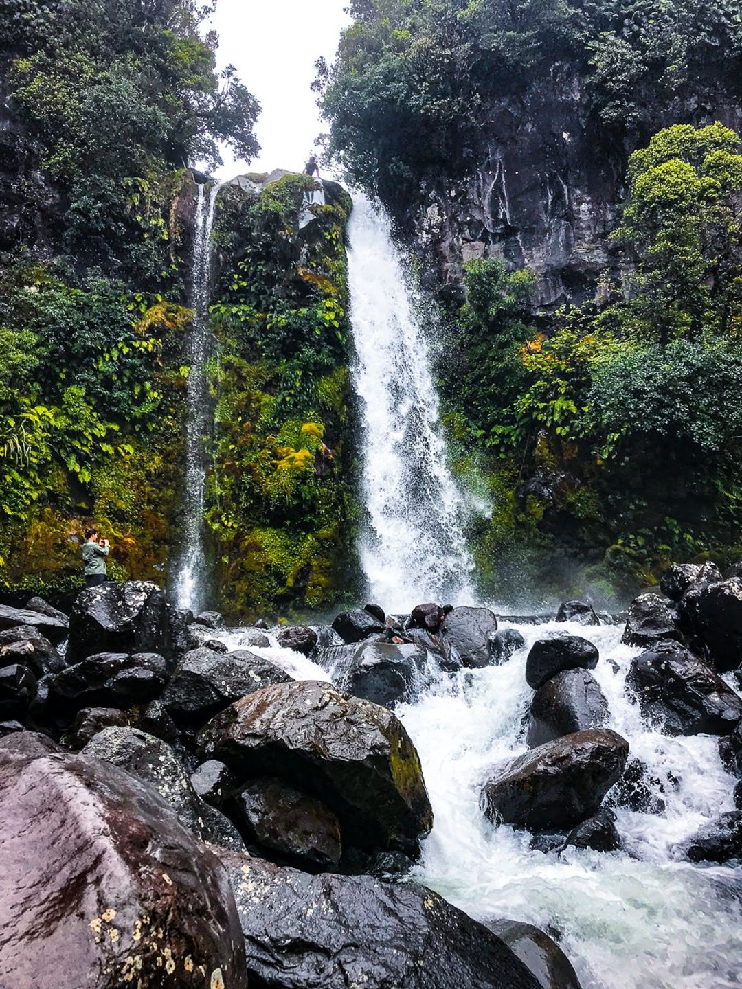 Dawson Falls Track | Te Papakura O Taranaki - New Zealand Trip Ideas