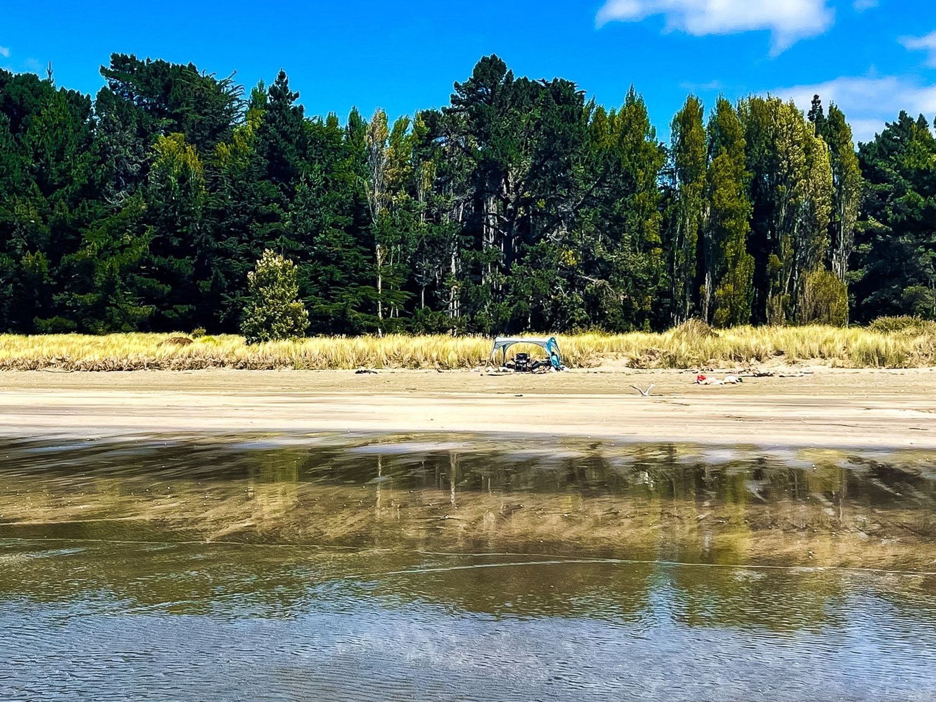 Le Bons Bay | Banks Peninsula - New Zealand Trip Ideas