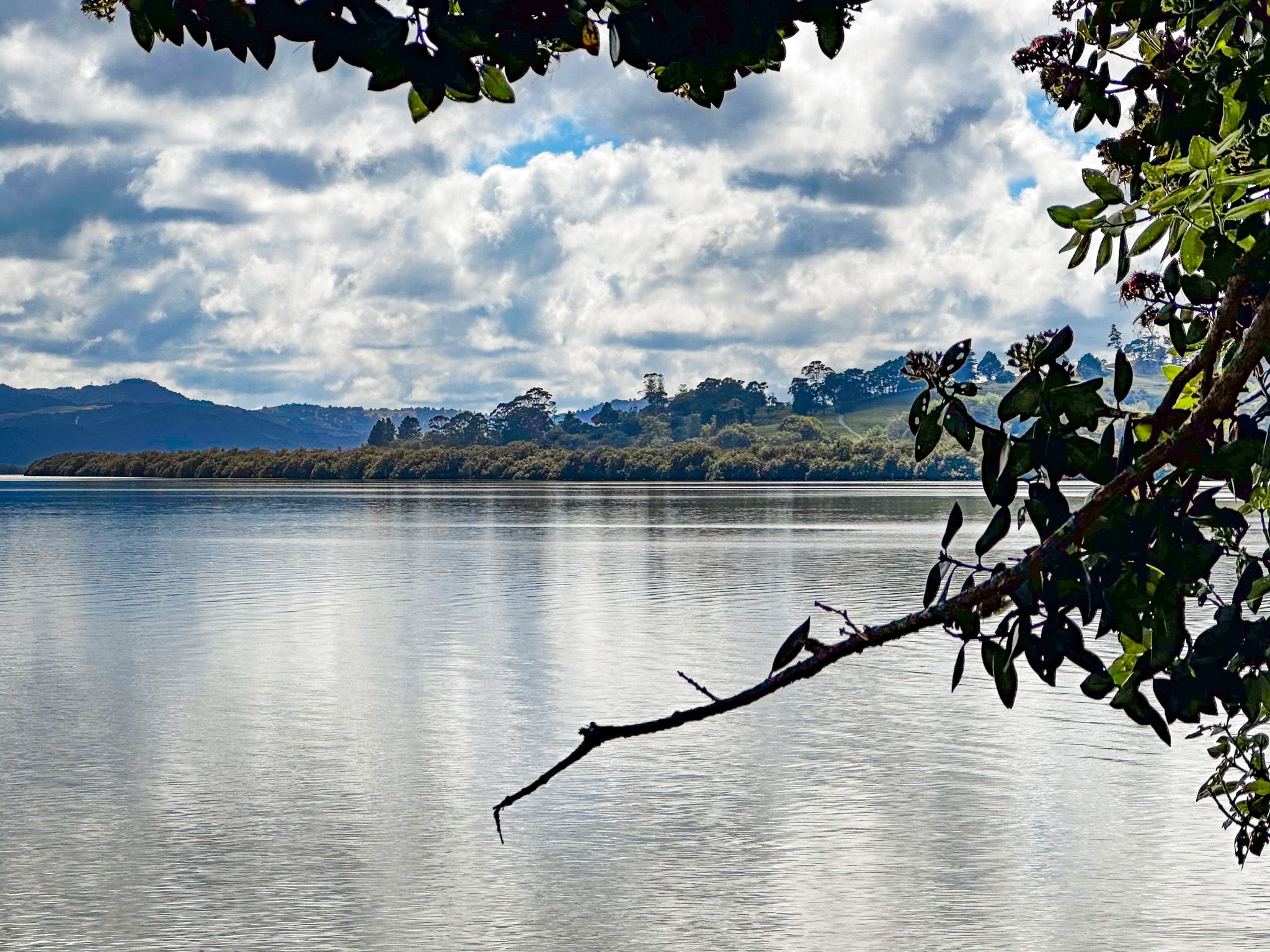 Hokianga Harbour | Hokianga - New Zealand Trip Ideas