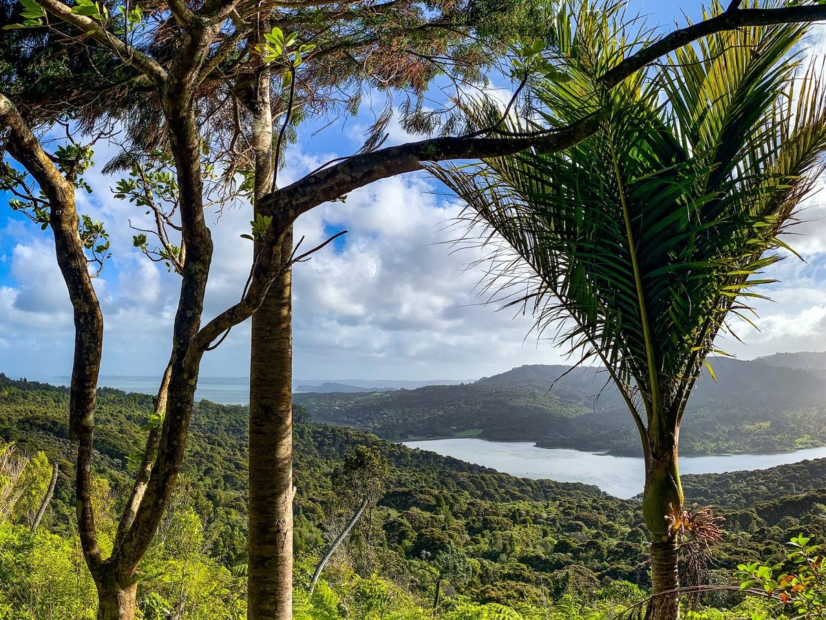 Waitakere Ranges, Part 4 - Trip Ideas