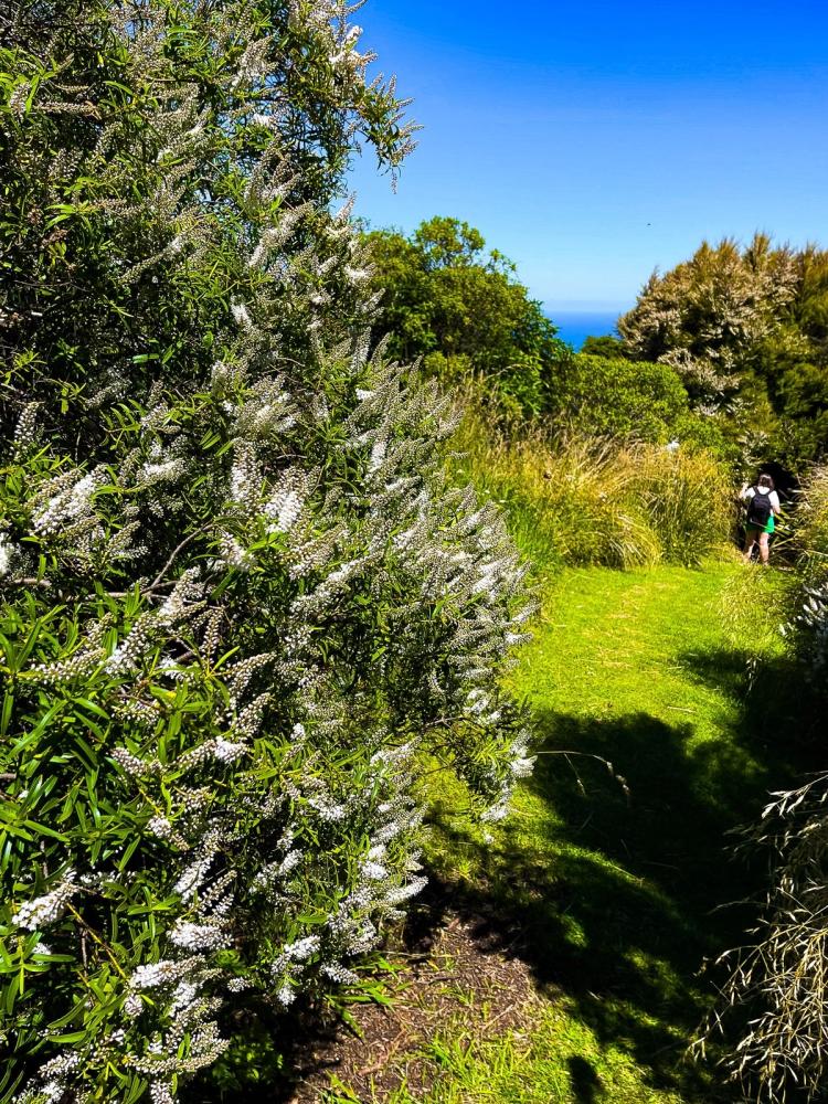 Hinewai Reserve | North Canterbury - New Zealand Trip Ideas