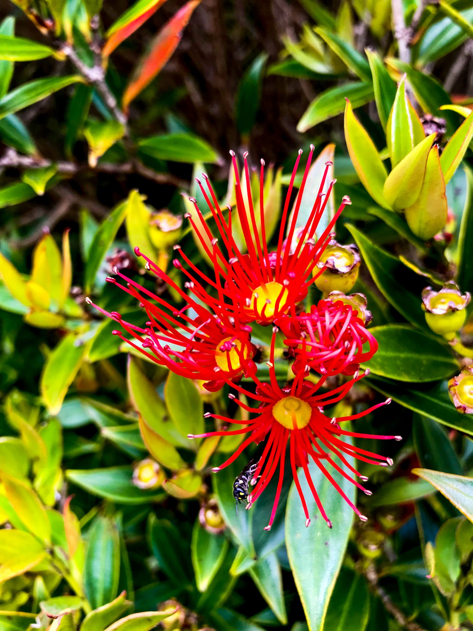 Denniston Plateau | Northern West Coast - New Zealand Trip Ideas