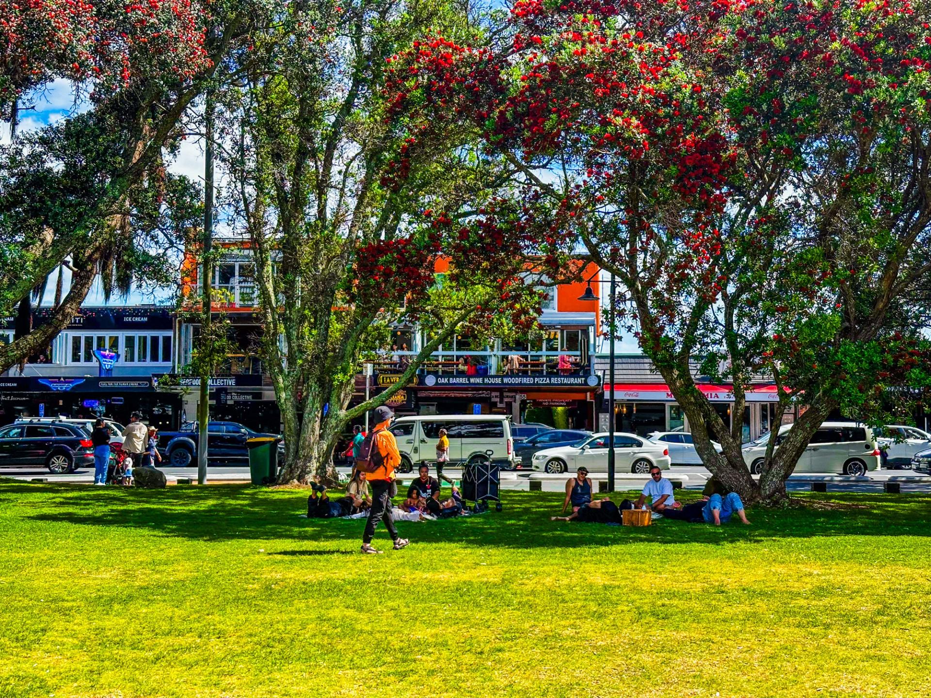 Mission Bay | East Auckland - New Zealand Trip Ideas